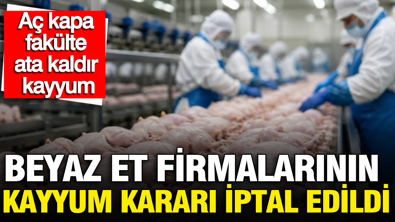 Beyaz et firmalarının kayyum kararları peş peşe kaldırıldı
